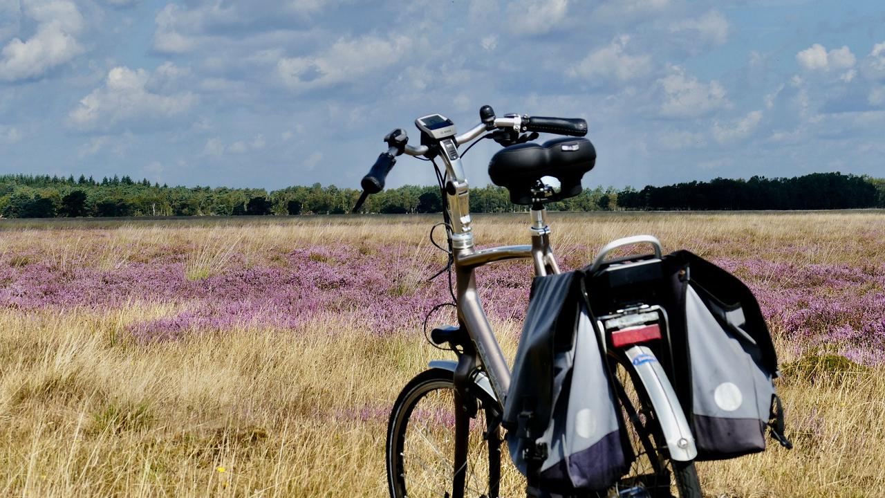 Join us for the first DOLCE of the fall! | The Wheel